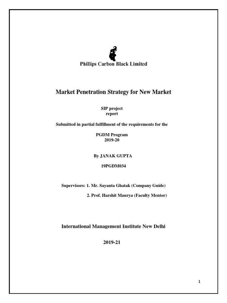 Summer Internship Program Final Report2 Pdf Marketing Logistics