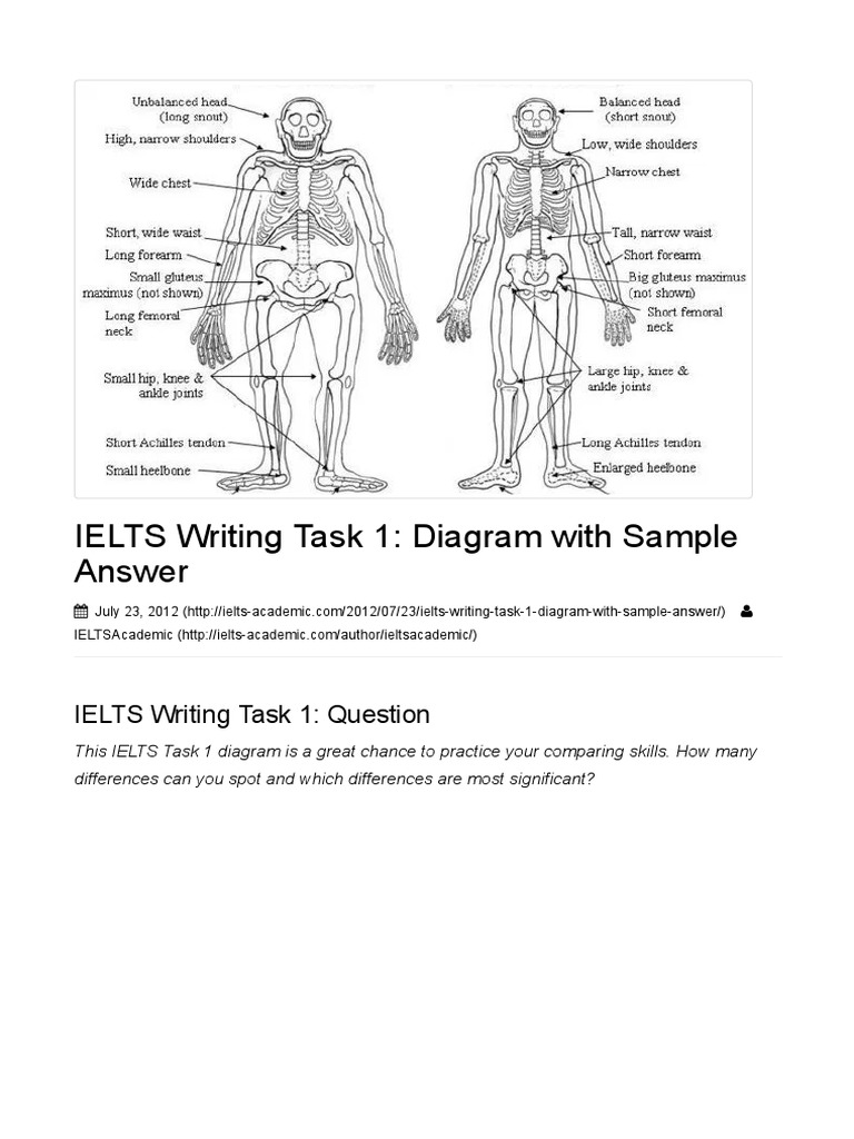 IELTS Writing Task 1 Diagram With Sample Answer | Download Free PDF ...