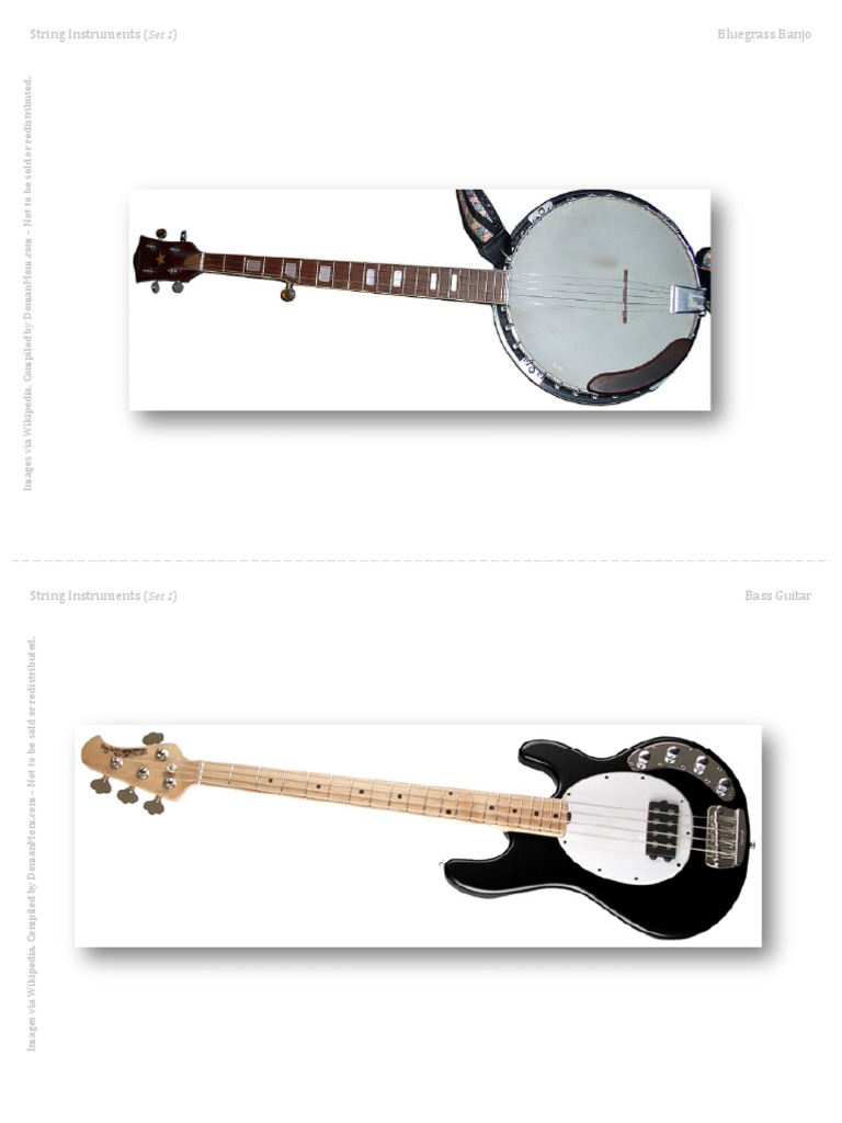 String Instruments (Set 1) | PDF | String Instruments | Guitars