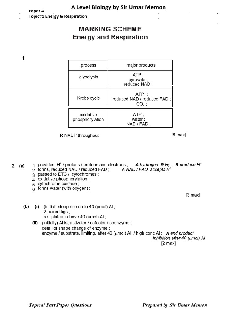 Energy and Respiration Marking Scheme | PDF | Cellular Respiration ...