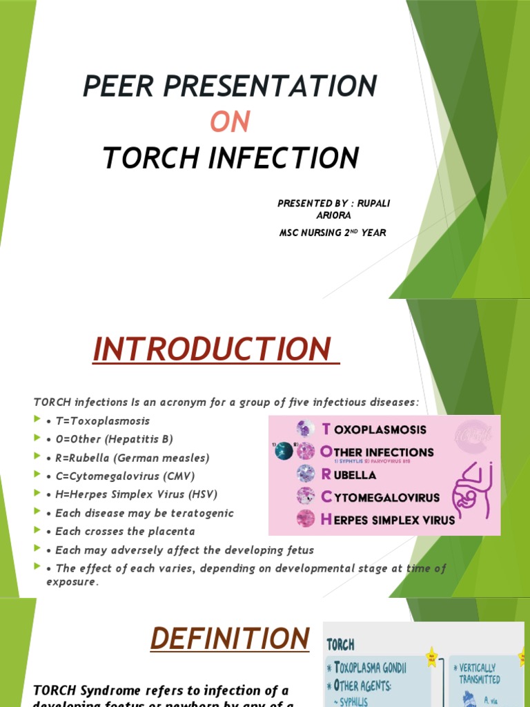 TORCH | Download Free PDF | Hepatitis B | Herpes Simplex