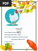 Agricultural Science Sba On Broiler | PDF | Chicken | Poultry Farming