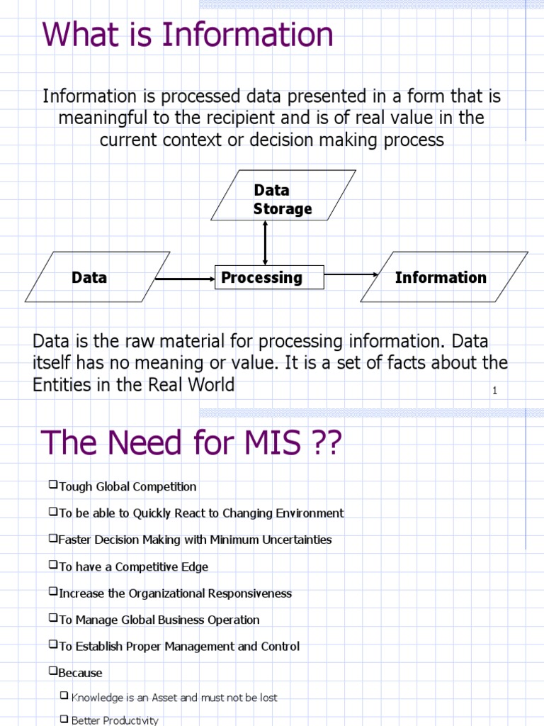 MIS - Management Information Systems | PDF | Computing | Software Testing