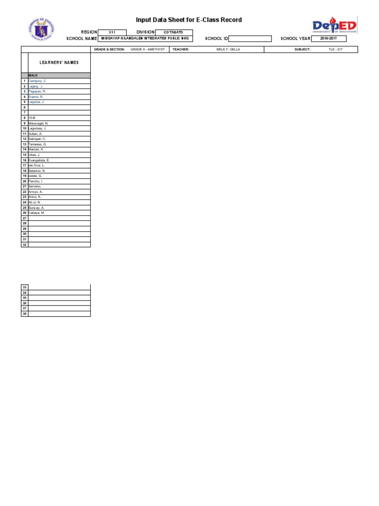Input Data Sheet For E-Class Record: Region Division School Name School Id School Year | PDF