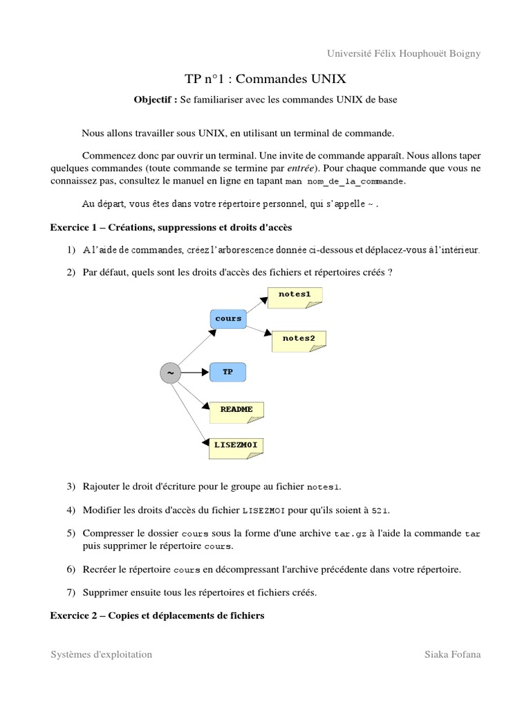 TP1 Commandes-Unix | PDF | Fichier informatique | Répertoire (informatique)