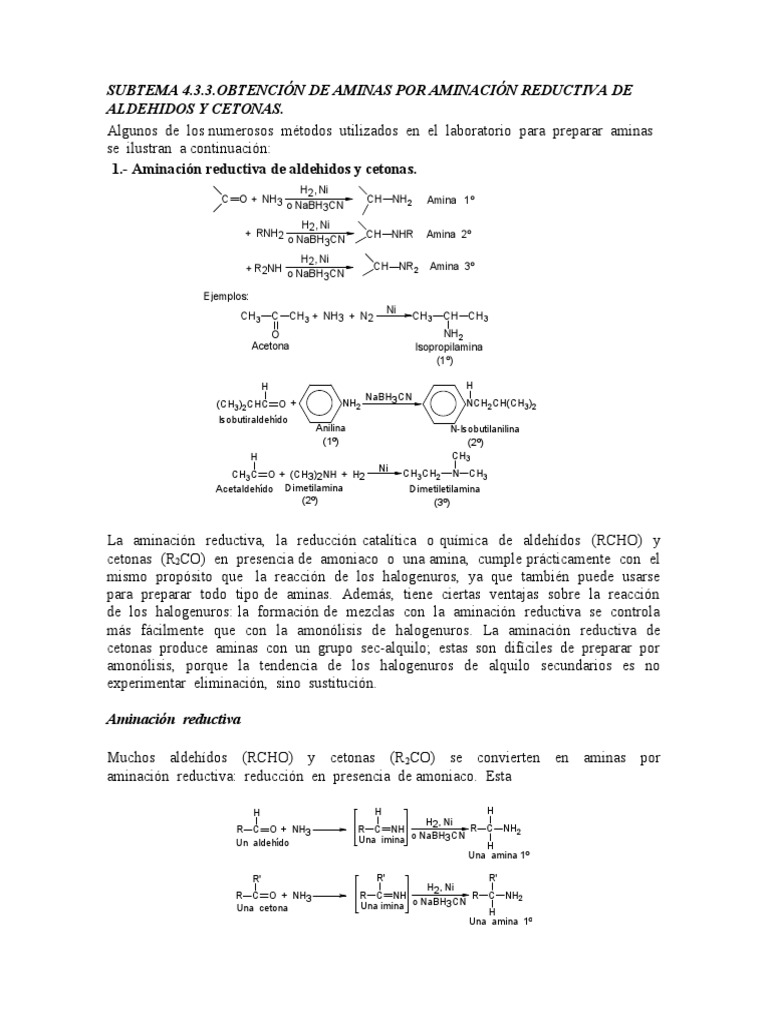 Aminacion B | PDF | Química | Compuestos químicos