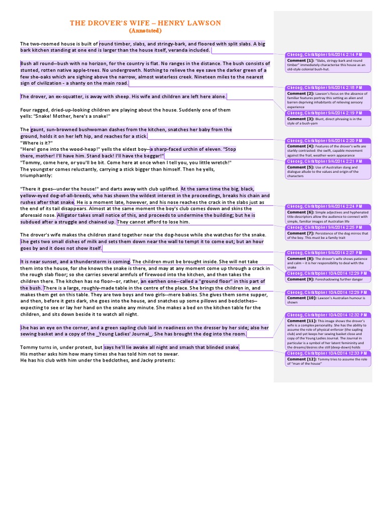 The Drovers Wife Short Story With Teachers Analysis | PDF