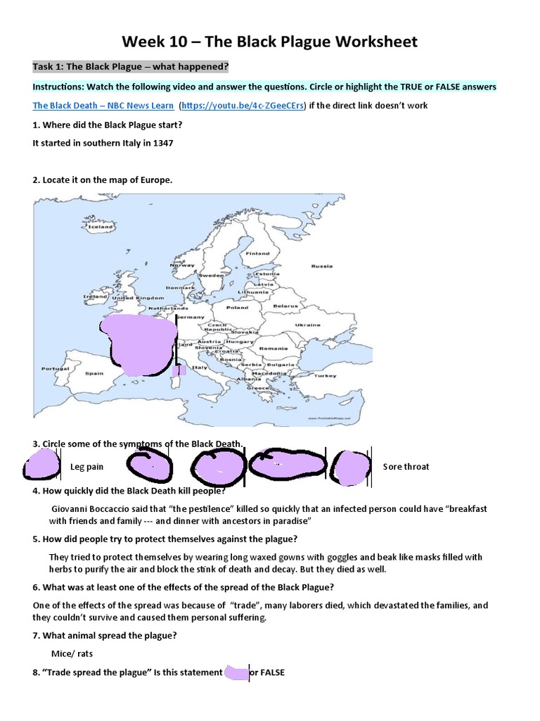 Black Plague Worksheet Overview | PDF
