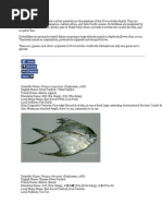NOAA Shark Identification Placards | PDF | Sharks | Vertebrates