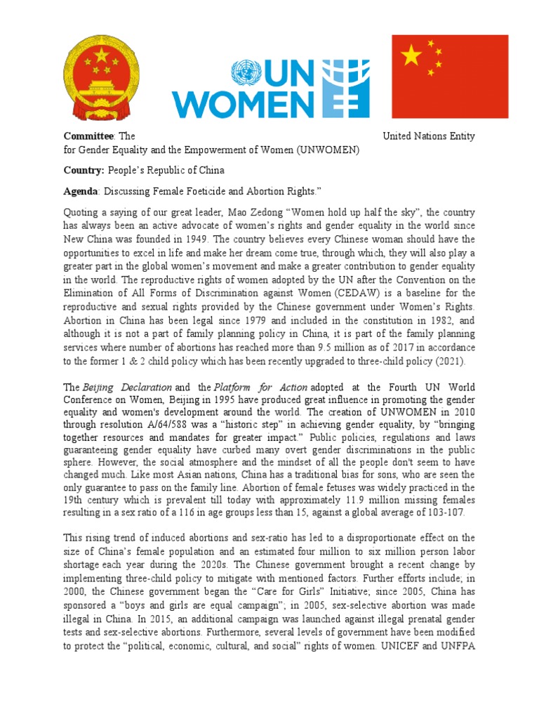 Position Paper UNWOMEN, China | PDF | Gender Studies | Gender Equality