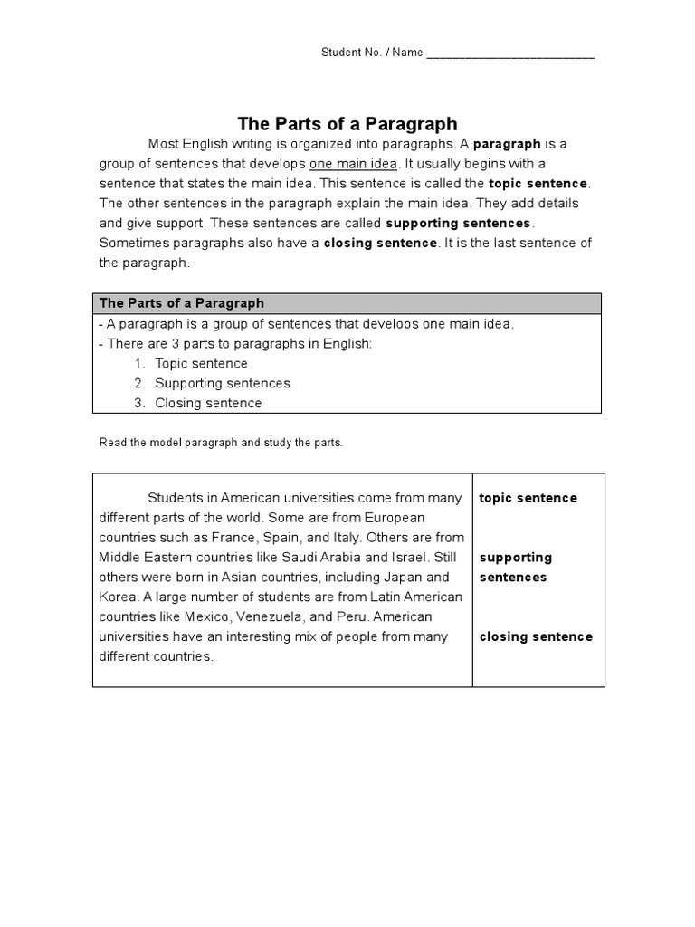 3-The Parts of A Paragraph | PDF | Paragraph | Garlic