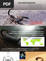 Fisiopatología Alacranismo | PDF | Nervio vago | Veneno