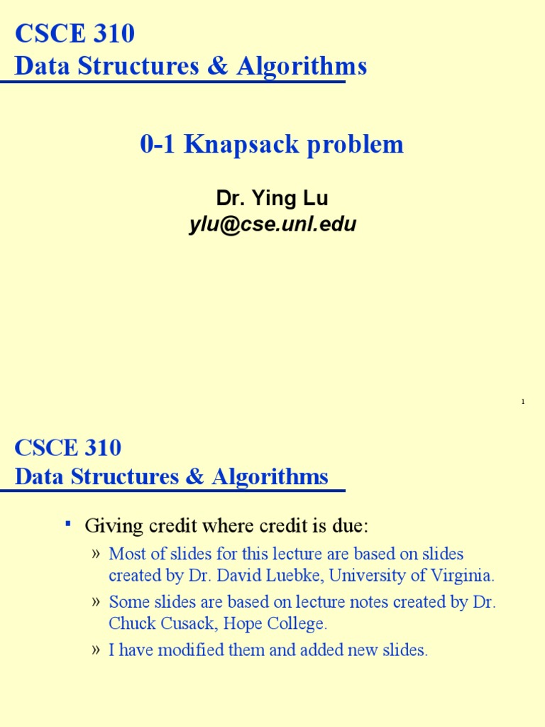CSCE 310 Data Structures & Algorithms: Dr. Ying Lu | PDF | Dynamic ...