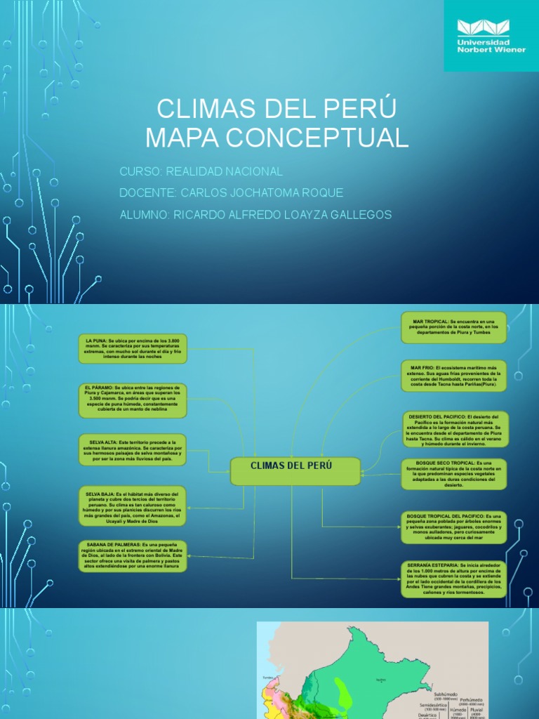 Climas Del Perú Mapa Conceptual | PDF | Selva | Perú