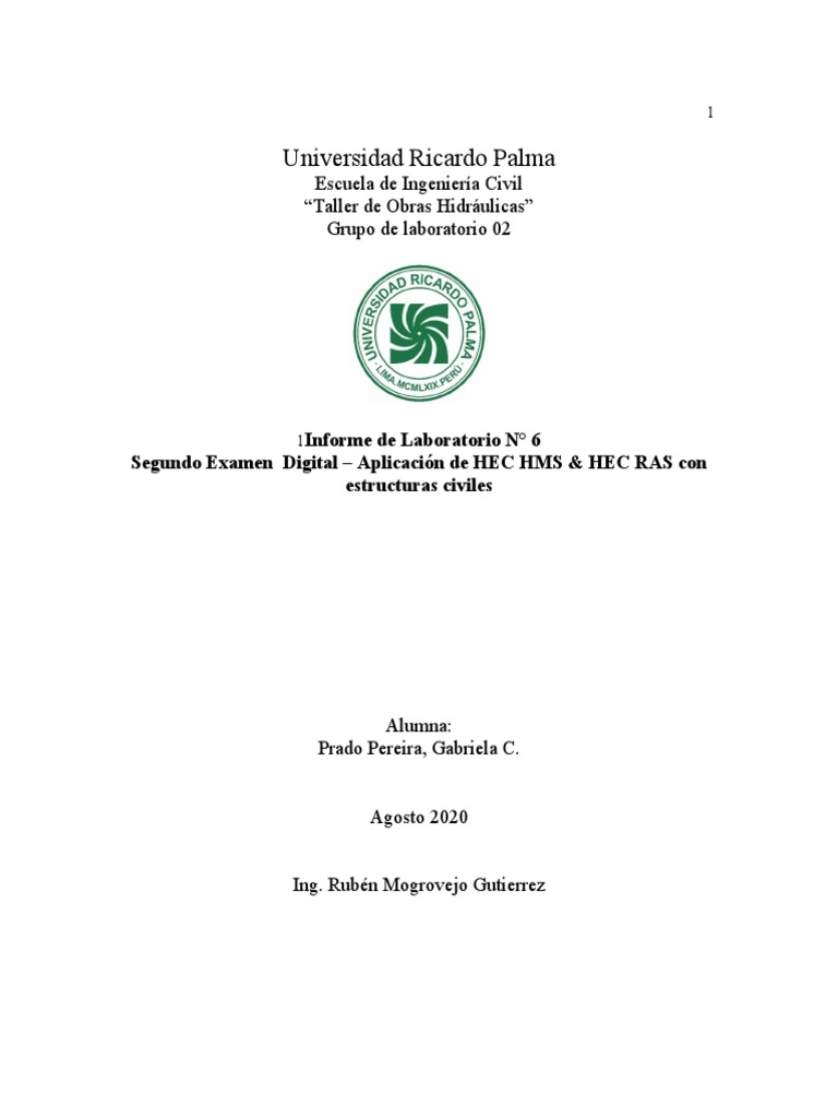 Prado - Lab 06 Digital | PDF | Mecánica | Canal