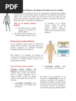 Términos de Relación, Comparación y Lateralidad de Anatomía | PDF ...