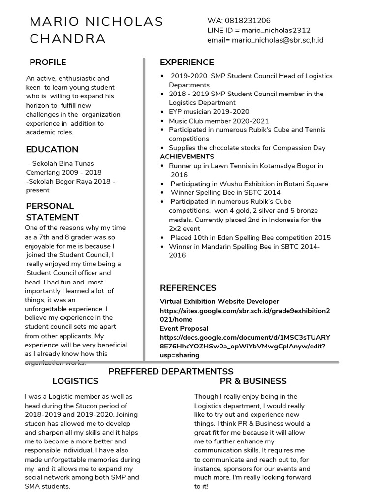 Mario Nicholas Chandra: Experience Profile | PDF | Business | Art