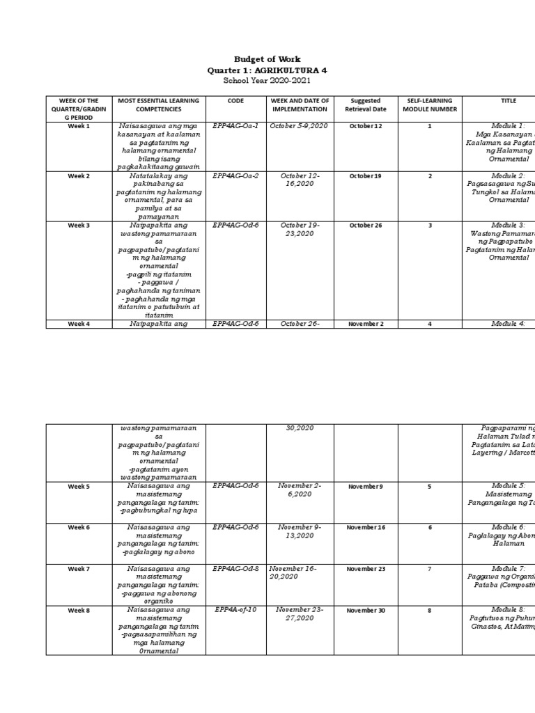 Budget of Work EPP 4 | PDF