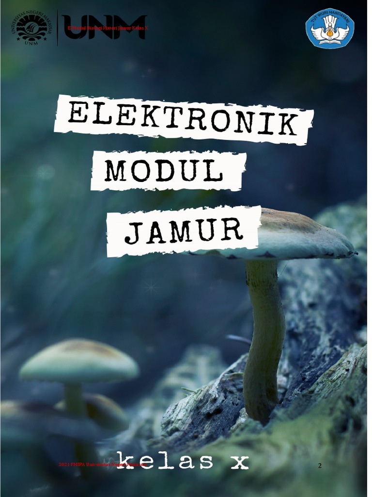 E-Modul Biologi Kelas X: Materi Jamur | PDF
