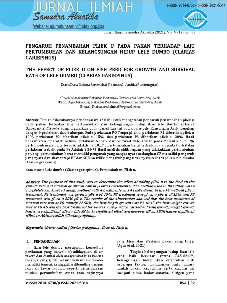 3549-Article Text-13133-1-10-20210603 | PDF