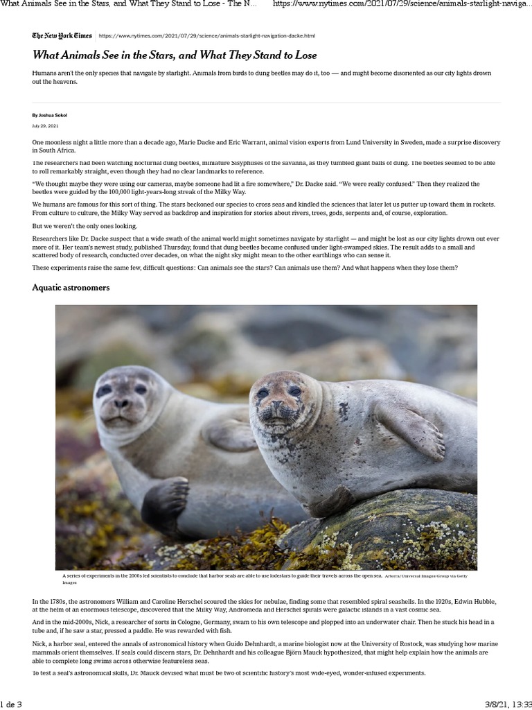 What Animals See in The Stars, and What They Stand To Lose | PDF ...