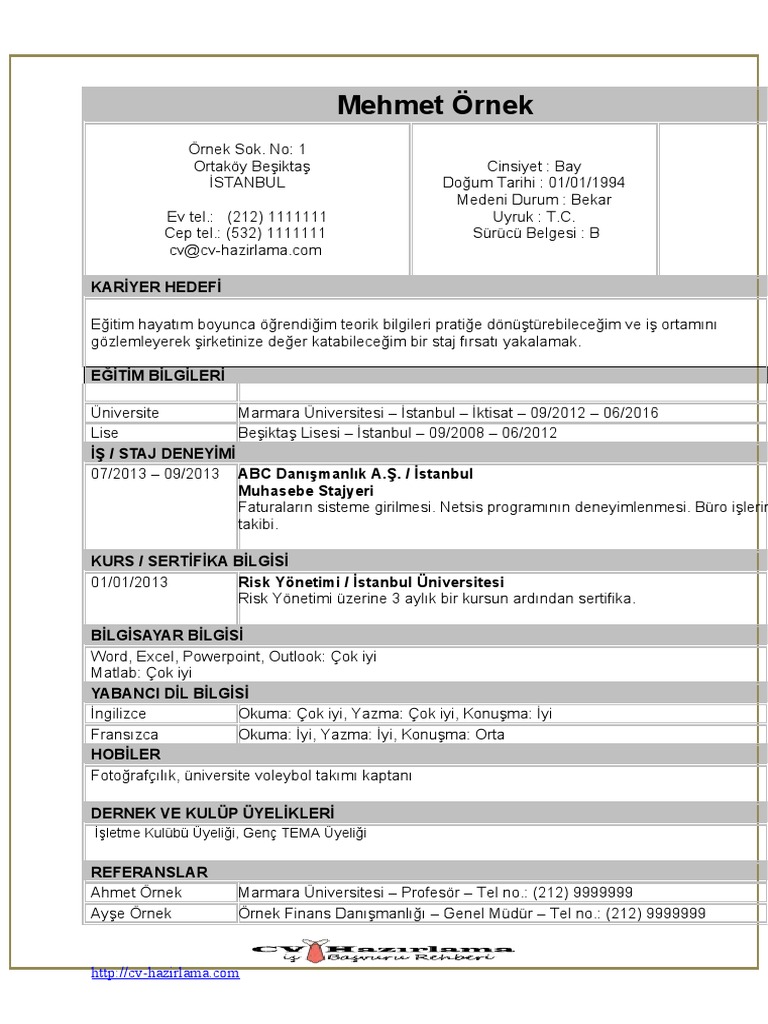 CV Hazirlama Ornegi Formu Ogrenci Stajyer CV Ornegi Zaman Sirali TR ...