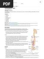 Oxford Stroke Classification: Also Known As Bamford Classification ...