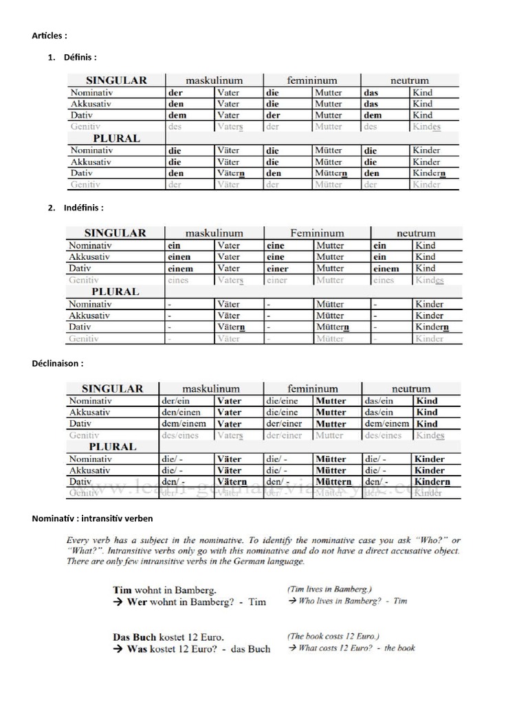A Guide to French Grammar Structures Covering Articles, Declension ...