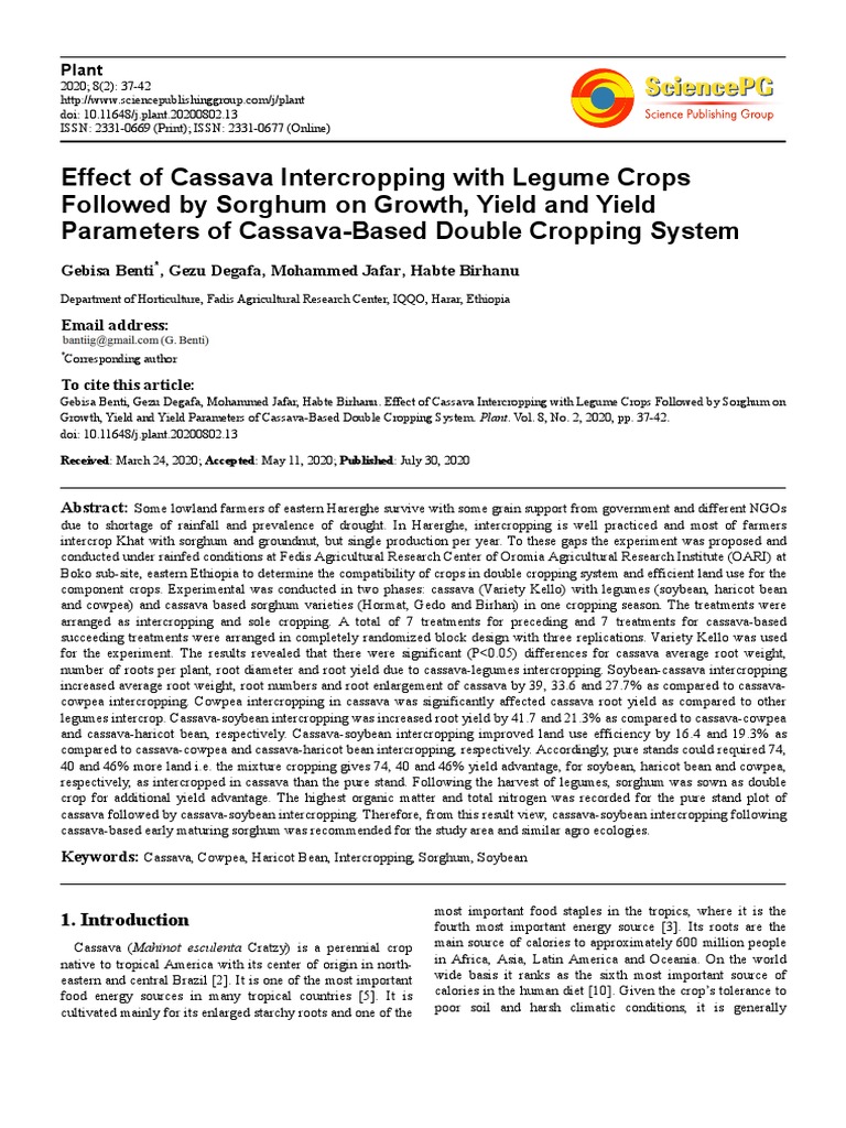Cassava-Legume Intercropping Benefits | PDF | Agriculture | Legume