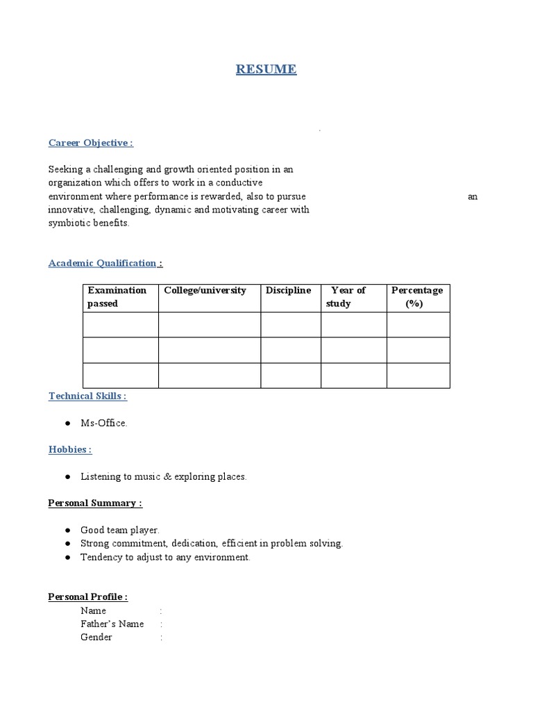 Demo Resume Template | PDF