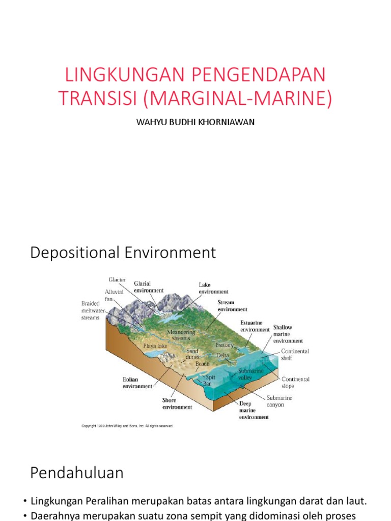 Lingkungan Pengendapan Transisi Delta | PDF