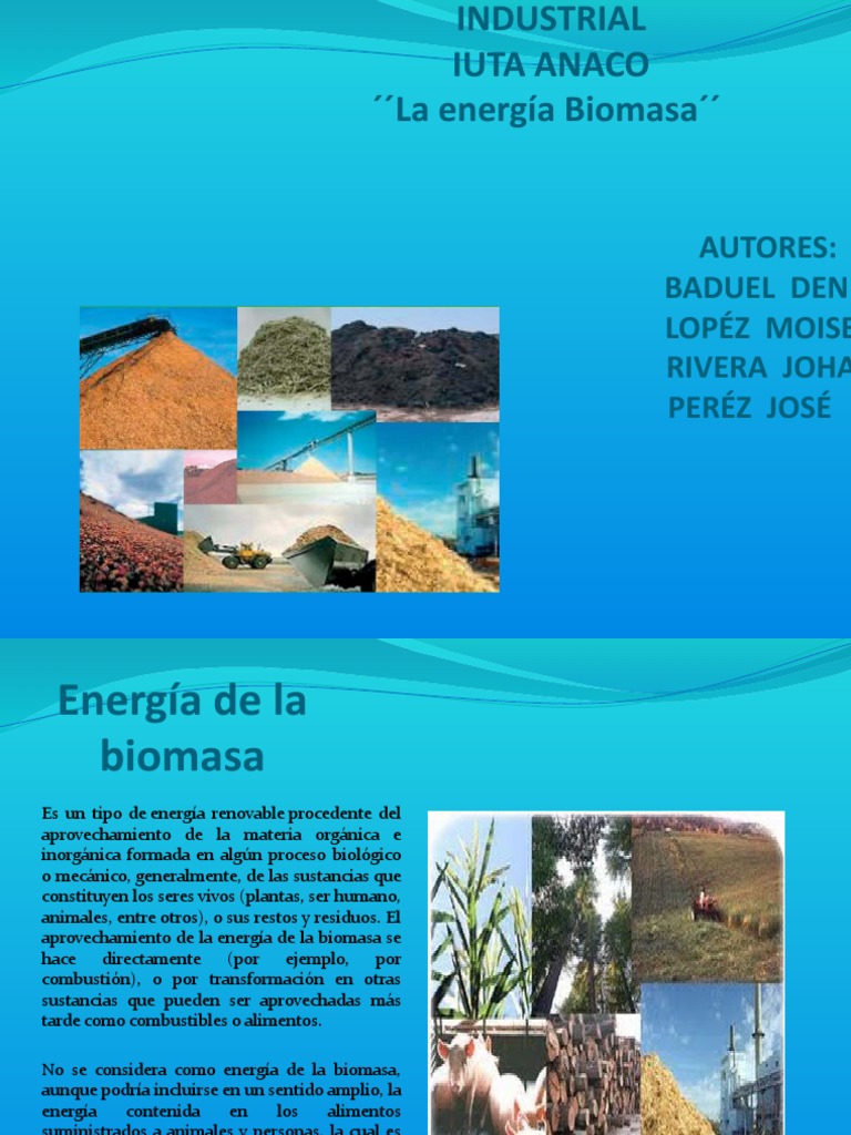 Energía de La Biomasa Presentacion | PDF | Bioenergía | Recursos energéticos