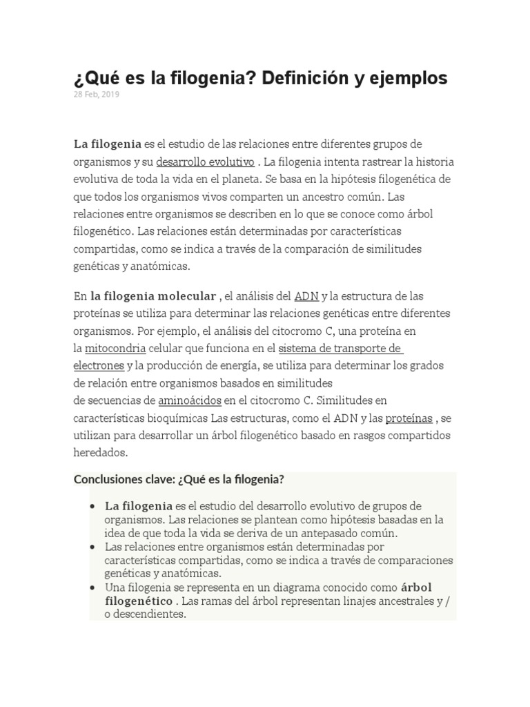 Qué Es La Filogenia | PDF | Filogenética | Árbol filogenético
