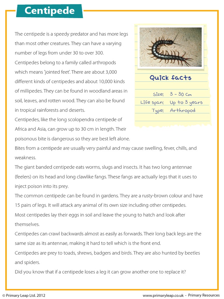 Centipede Pdf Zoology Arthropods