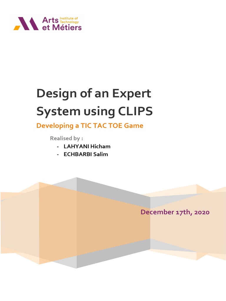 Expert System Project - Hicham LAHYANI & Salim Echbarbi | PDF | Cognition | Cognitive Science