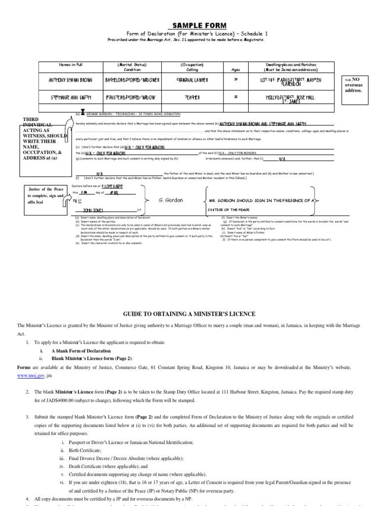 Sample Form of Declaration-New-Ver2 | PDF | Birth Certificate | Government