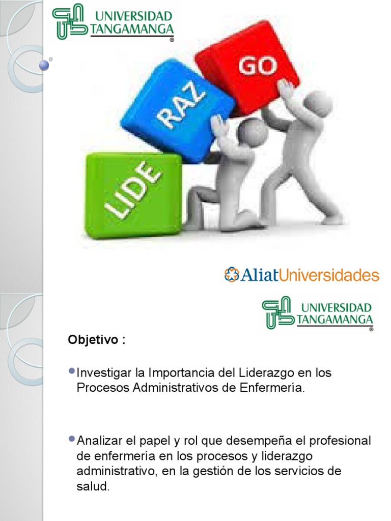 Liderazgo en Enfermeria | PDF | Liderazgo | Enfermería