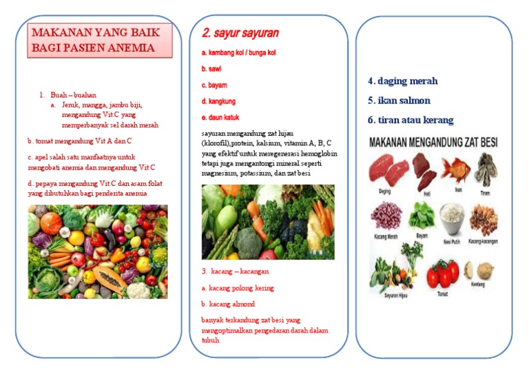 Makanan Sehat untuk Penderita Anemia | PDF | Kesehatan Holistik