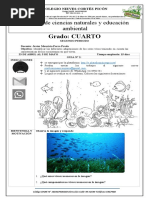 Los Seres Vivos y El Medio Ambiente 3º Primaria | PDF | Plantas | Alimentos