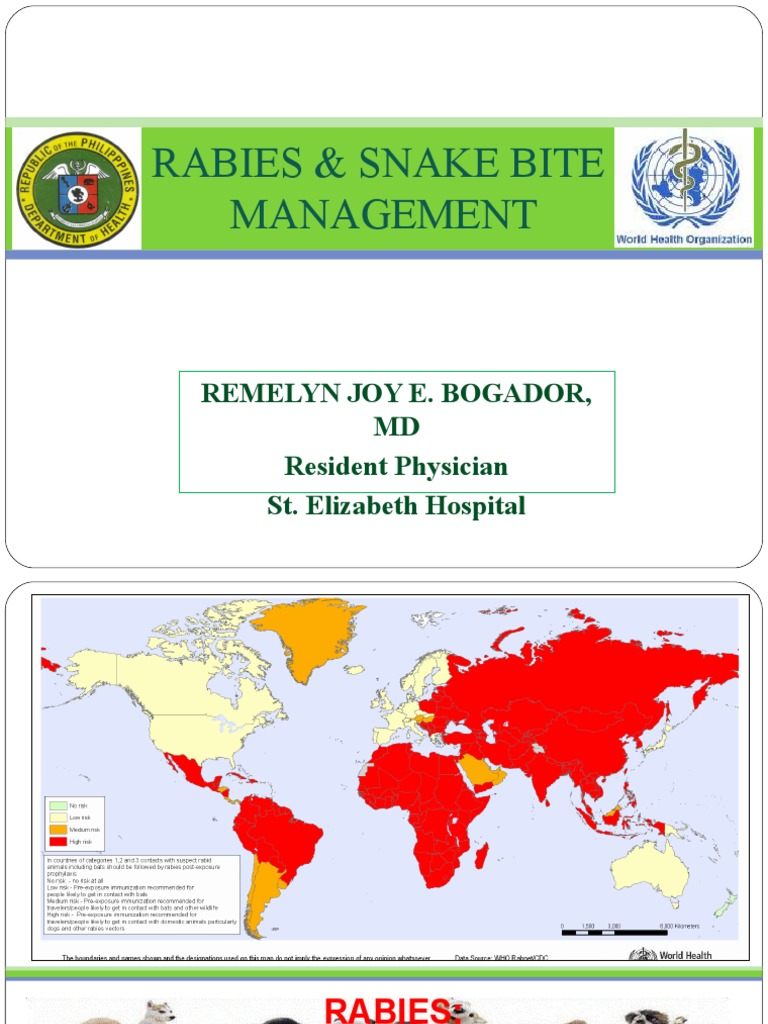Rabies & Snake Bite | PDF | Rabies | Medical Specialties