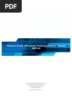 PAUT Interpretation PDF | PDF