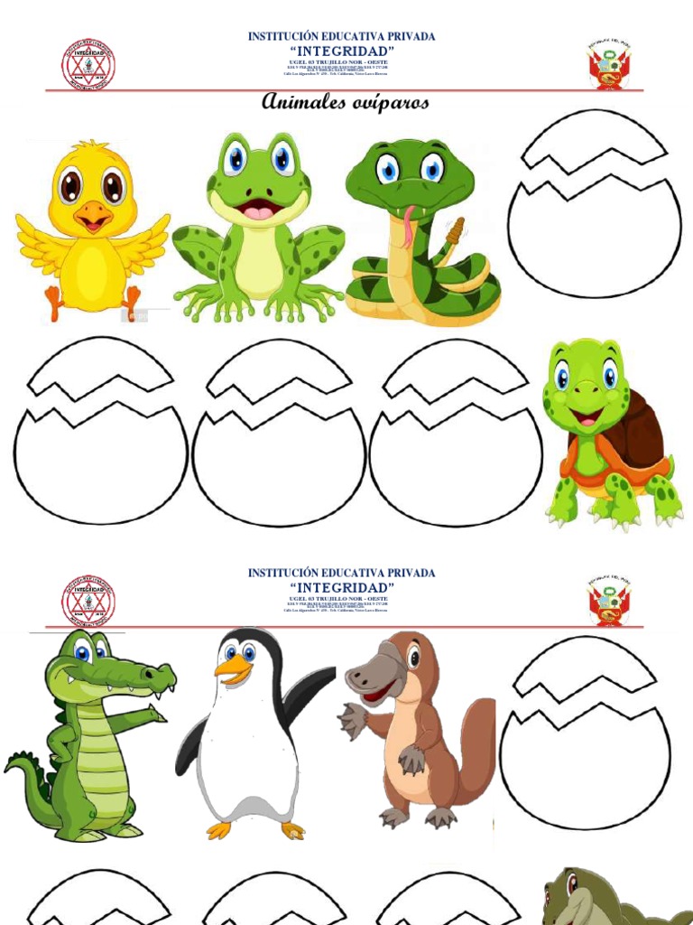 Los Animales y Su Reproducción | PDF