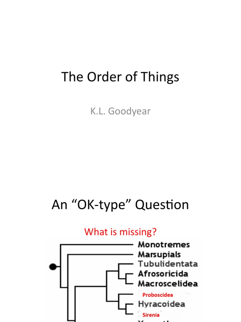 The Order of Things | PDF