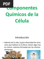 Importancia de los CHONPS en la vida | PDF | Alimentos | Nutrientes