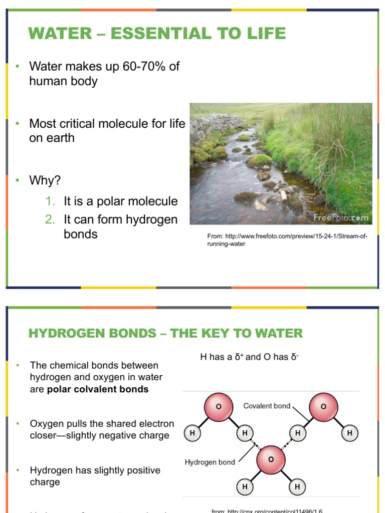 Biology2 ch02B | PDF | Ph | Properties Of Water