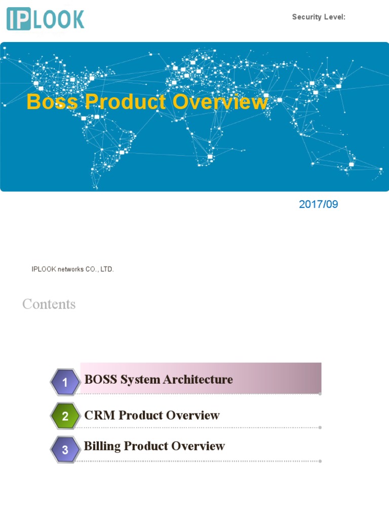 IPLOOK BOSS System Overview and Features | PDF | Payments | Invoice