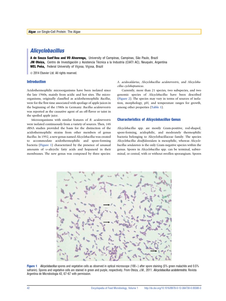 Page 004 | PDF | Bacillus | Prokaryote