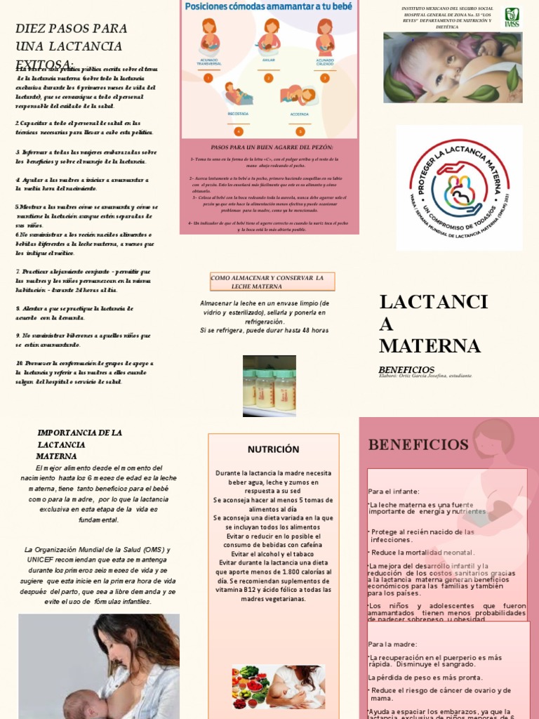 Triptico Lactancia Materna Pdf Amamantamiento La Leche Materna