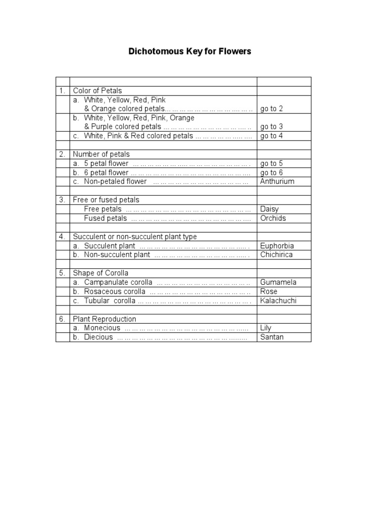 Dichotomous Key For Garden Flowers | PDF