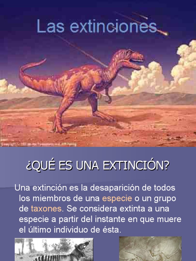 Extinciones | PDF | Extinción | Ciencias de la Tierra